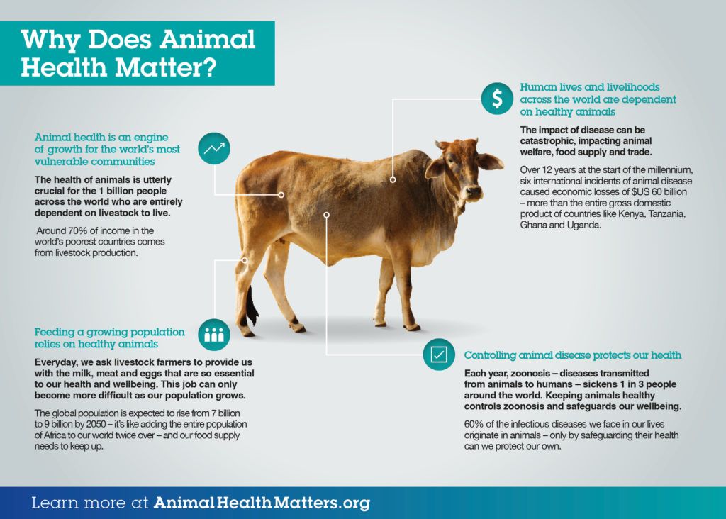 Animal Disease HealthforAnimals Animal Disease HealthforAnimals