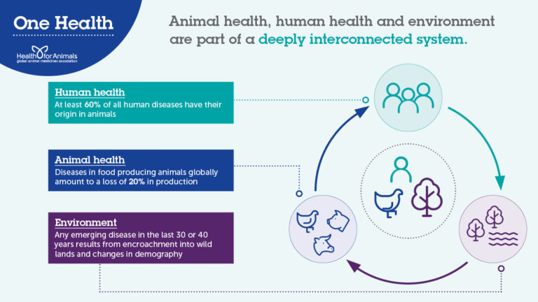 One Health infographic – Twitter - HealthforAnimals