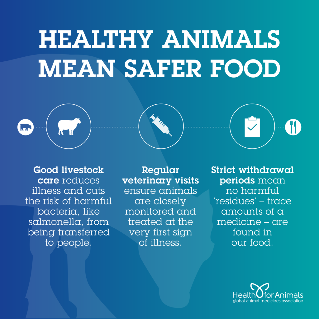 healthy animals mean safer food - HealthforAnimals