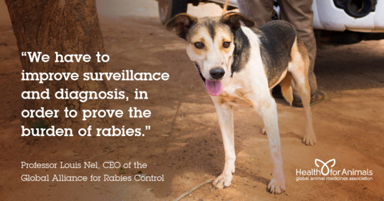 The game changing work supporting rabies elimination by 2030 ...