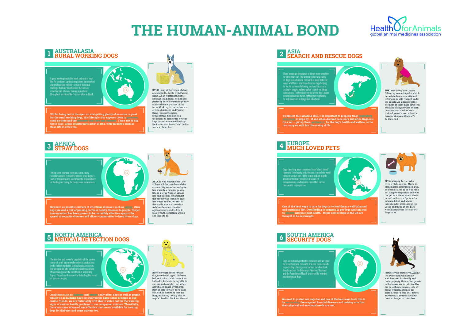 the human-animal bond - HealthforAnimals