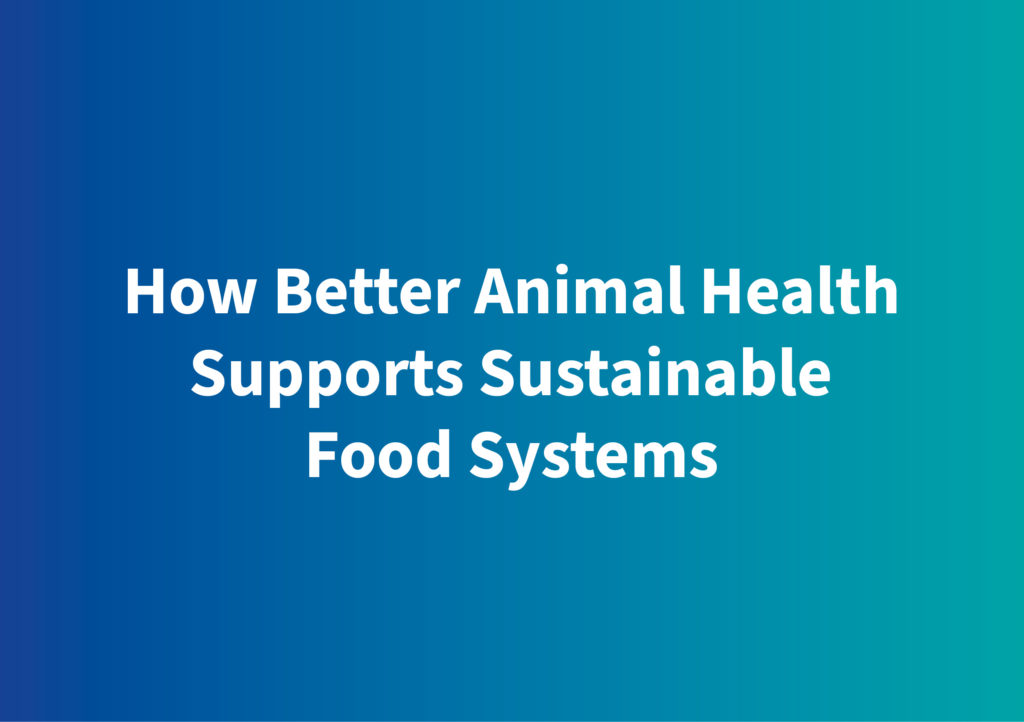 07223 banner artwork - HealthforAnimals